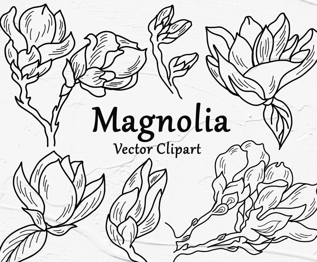 Magnolia Clipart SVG. Spring Outline Vector Clipart. Floral Svg Clipart ...