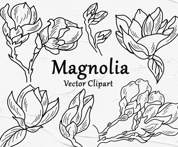 Magnolia Clipart SVG. Spring Outline Vector Clipart. Floral | Etsy