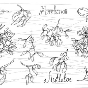 Mistletoe Clipart SVG. Mistletoe Outline Vector Clipart. Floral Svg ...