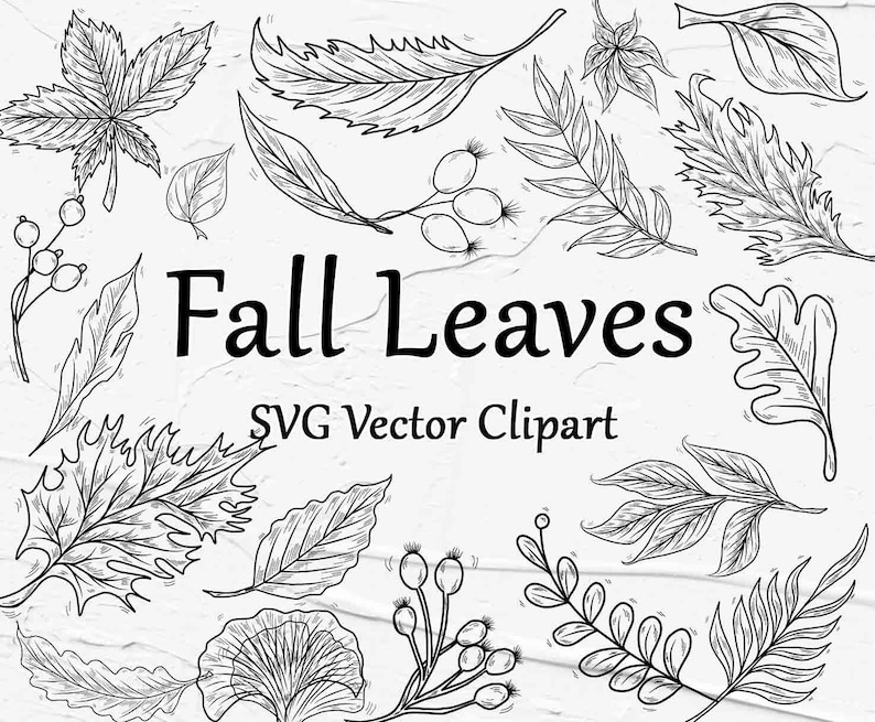 Fall Leaves SVG Clipart. Willow Twigs Clipart SVG. Autumn Outline ...