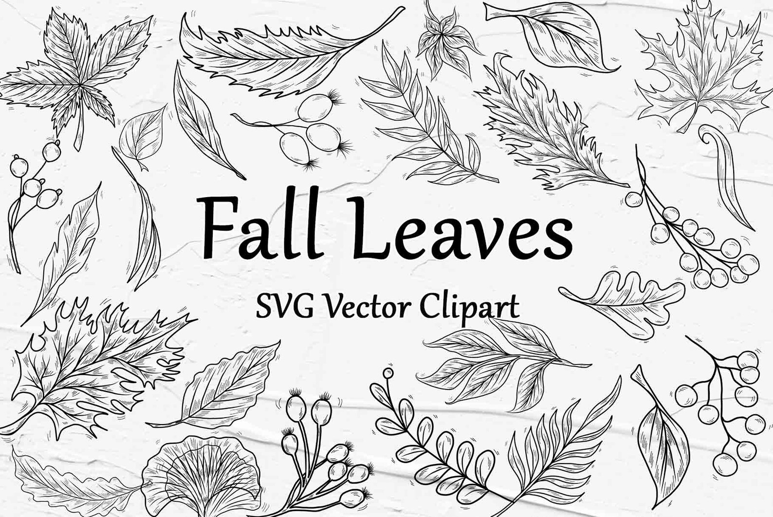 Fall Leaves SVG Clipart. Willow Twigs Clipart SVG. Autumn - Etsy
