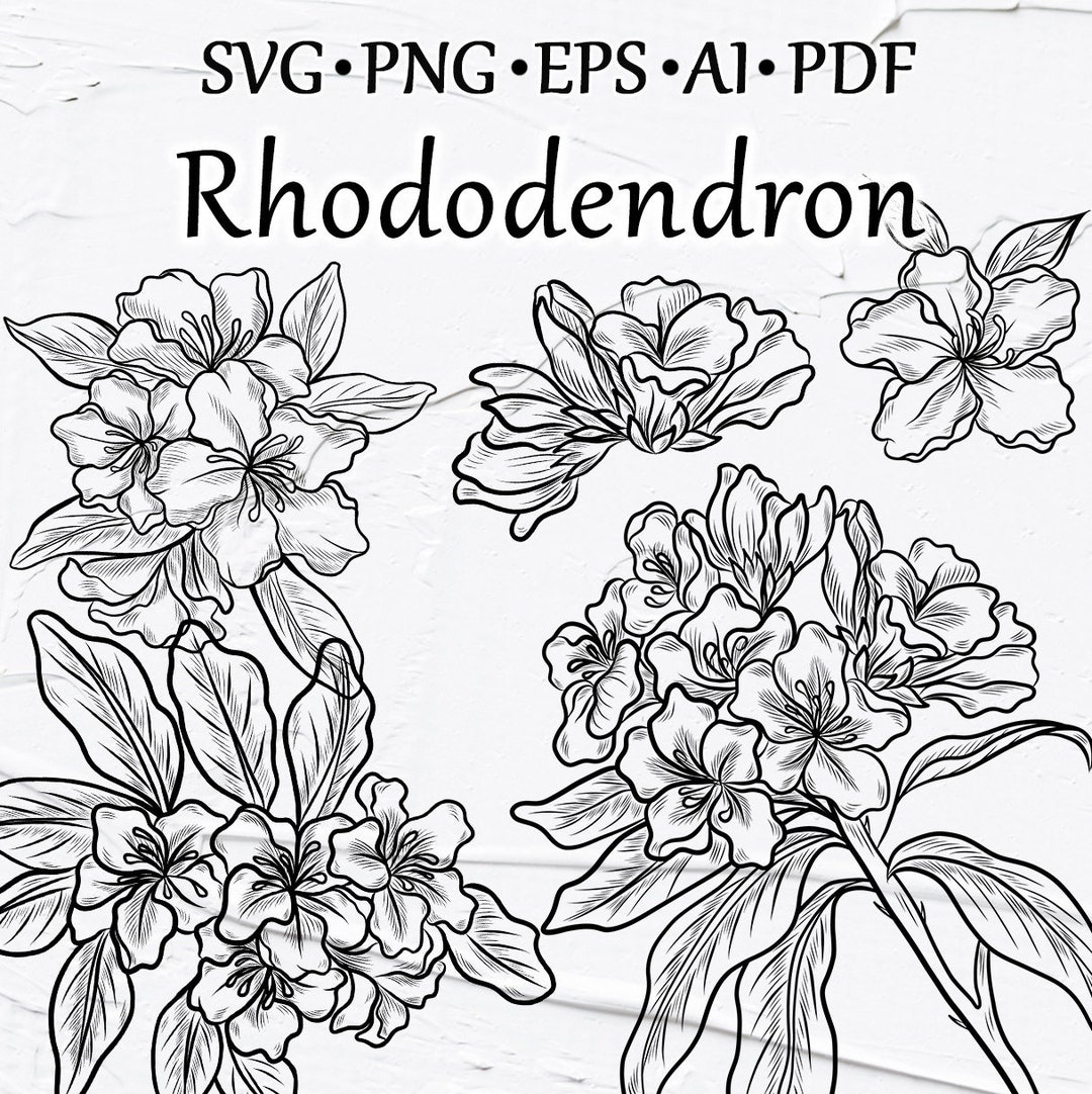 Rhododendron SVG Clipart, Vector Rhododendron Clipart, Alpine Flowers ...