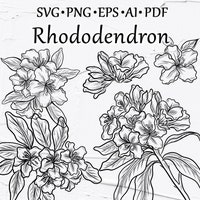 Rhododendron - Etsy