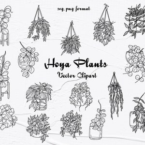Vector Hoya Plants Clipart. House Plants Vector Clipart. Indoor Plants ...