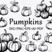 Halloween Pumpkin SVG Clipart, Halloween Clipart, Cute Pumpkin Faces ...