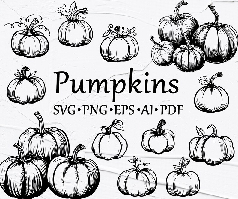 Halloween Pumpkin SVG Clipart, Halloween Clipart, Cute Pumpkin Faces ...