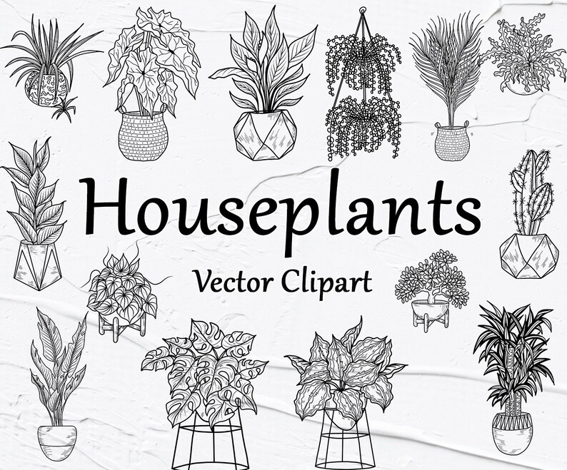 Vector Houseplants Clipart. House Plants Vector Clipart. Indoor Plants ...