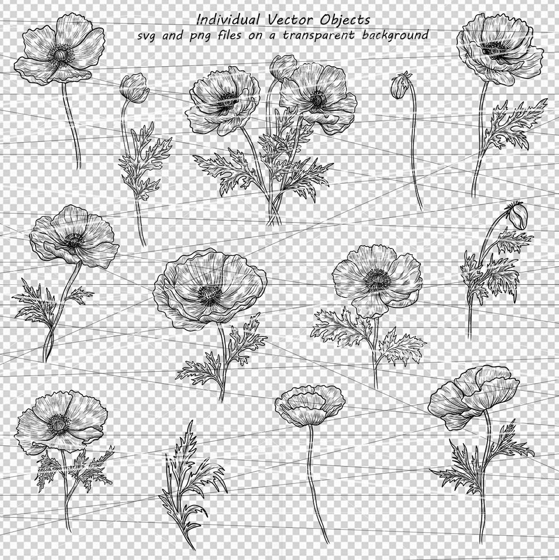 Poppy SVG Clipart, Vector Poppy Clipart, Wild Poppies, Floral Clipart ...