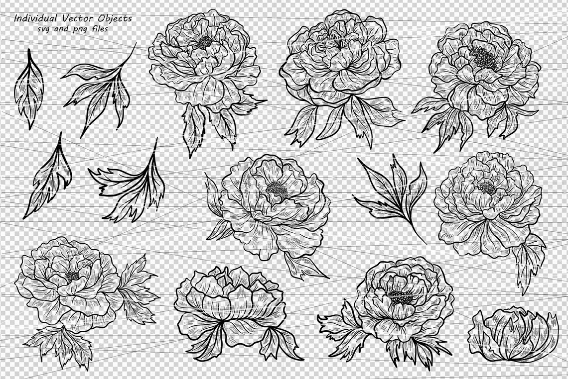 Peony SVG Clipart. Peony Line Art SVG. Spring Outline Vector Clipart ...