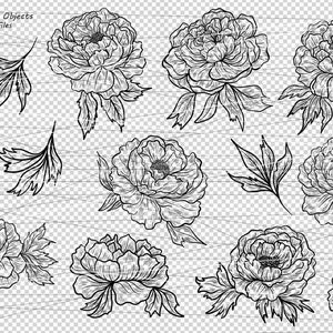Peony SVG Clipart. Peony Line Art SVG. Spring Outline Vector Clipart ...