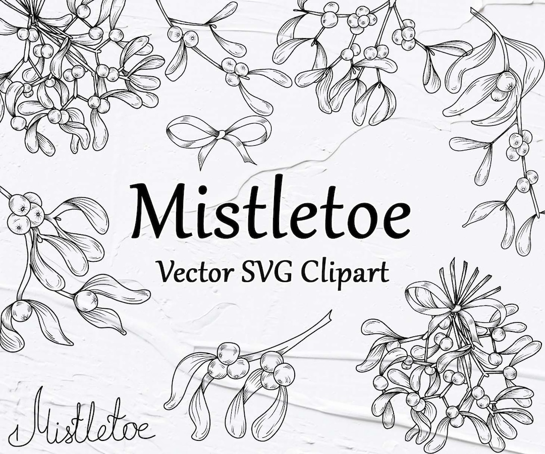 Mistletoe Clipart SVG. Mistletoe Outline Vector Clipart. Floral Svg ...