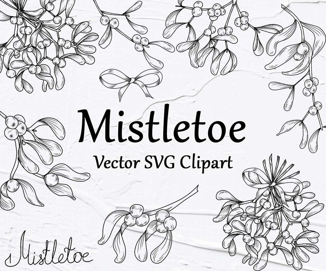 Mistletoe Clipart SVG. Mistletoe Outline Vector Clipart. Floral Svg ...