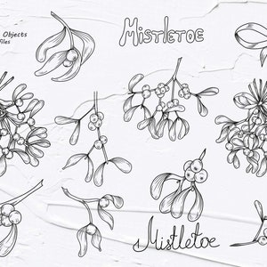 Mistletoe Clipart SVG. Mistletoe Outline Vector Clipart. Floral Svg ...