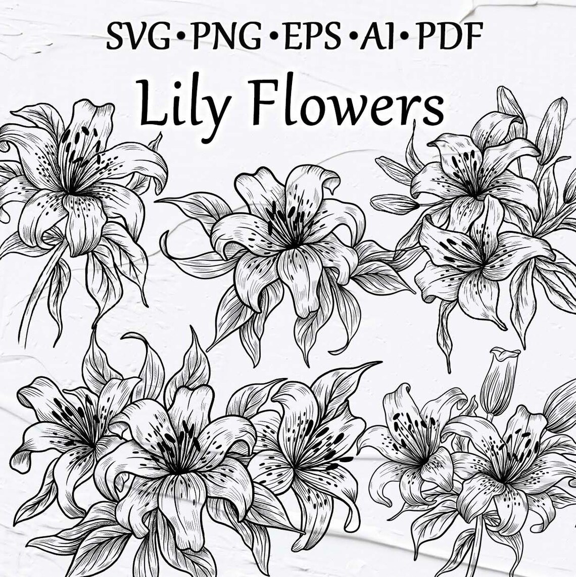 Lily SVG Clipart, Vector Lily Flowers Clipart, Alpine Flowers, Floral ...