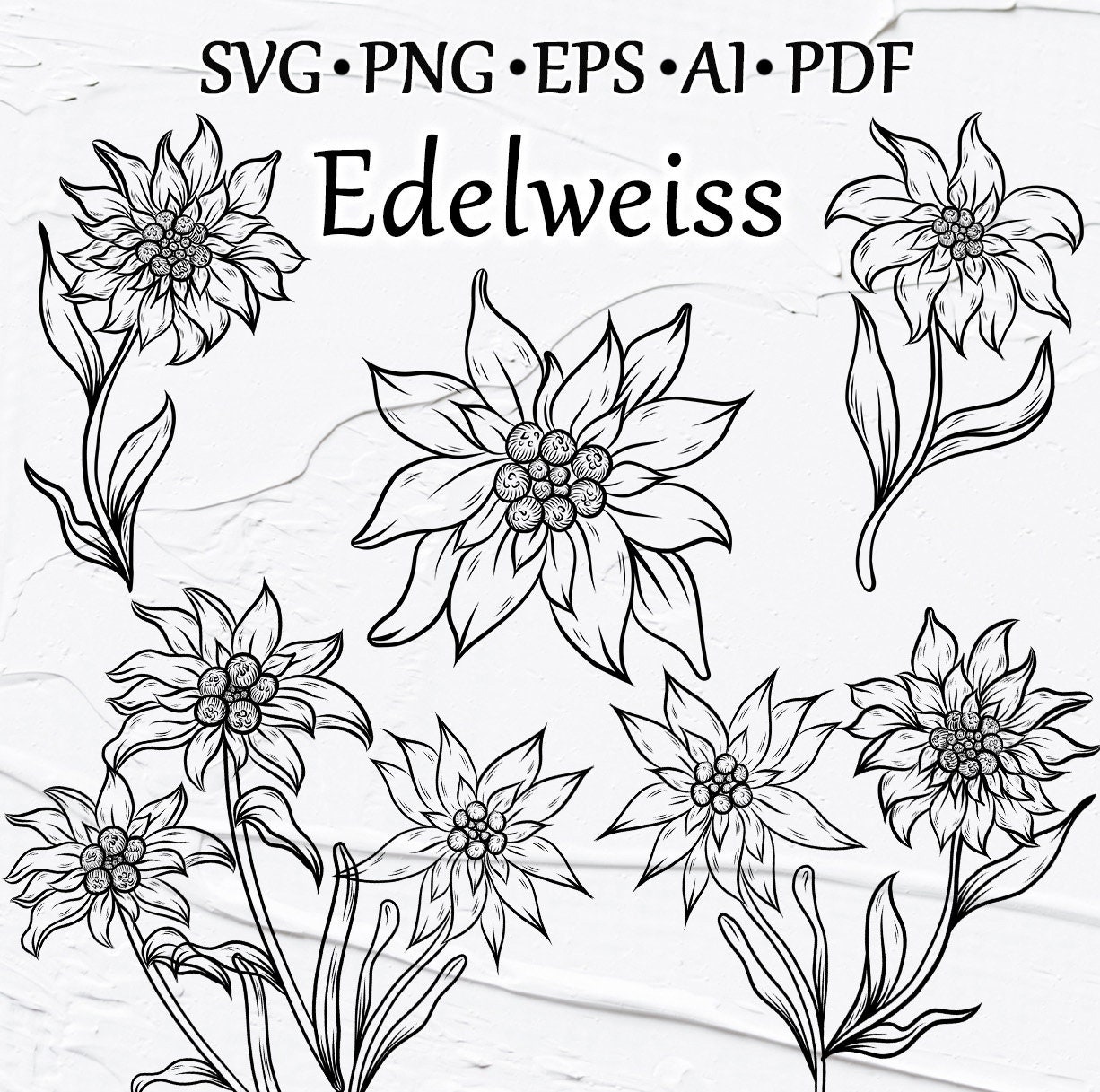 Edelweiss SVG Clipart, Vector Edelweiss Clipart, Alpine Flowers, Floral ...