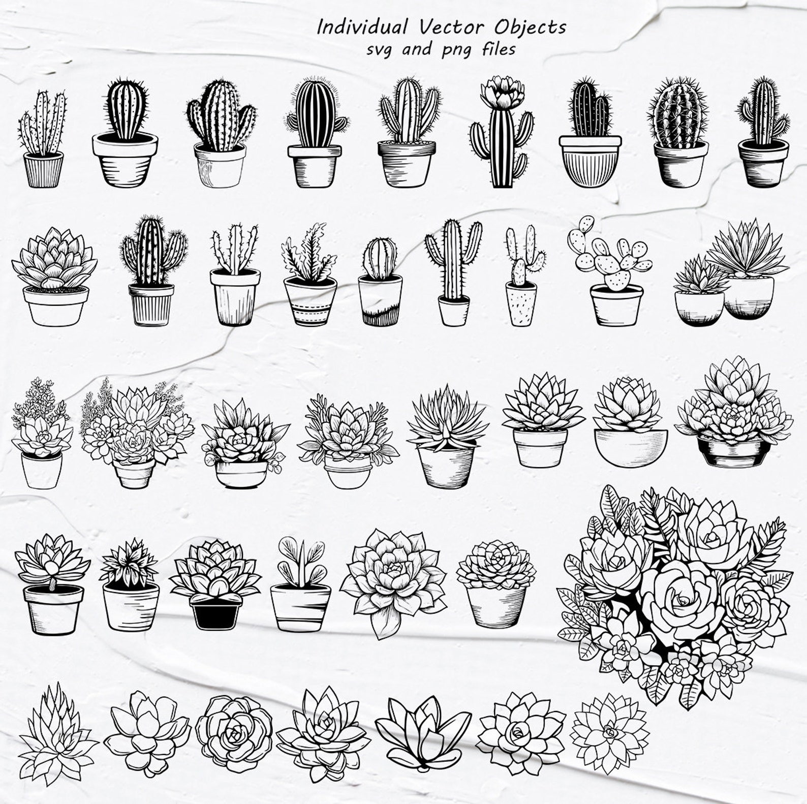 Cacti Svg Clipart. Succulents Svg Clipart. Houseplants Vector Clipart ...