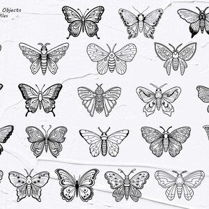 Moths SVG Clipart. Moth Line Art SVG. Butterfly Outline Vector Clipart ...