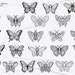Moths SVG Clipart. Moth Line Art SVG. Butterfly Outline Vector Clipart ...