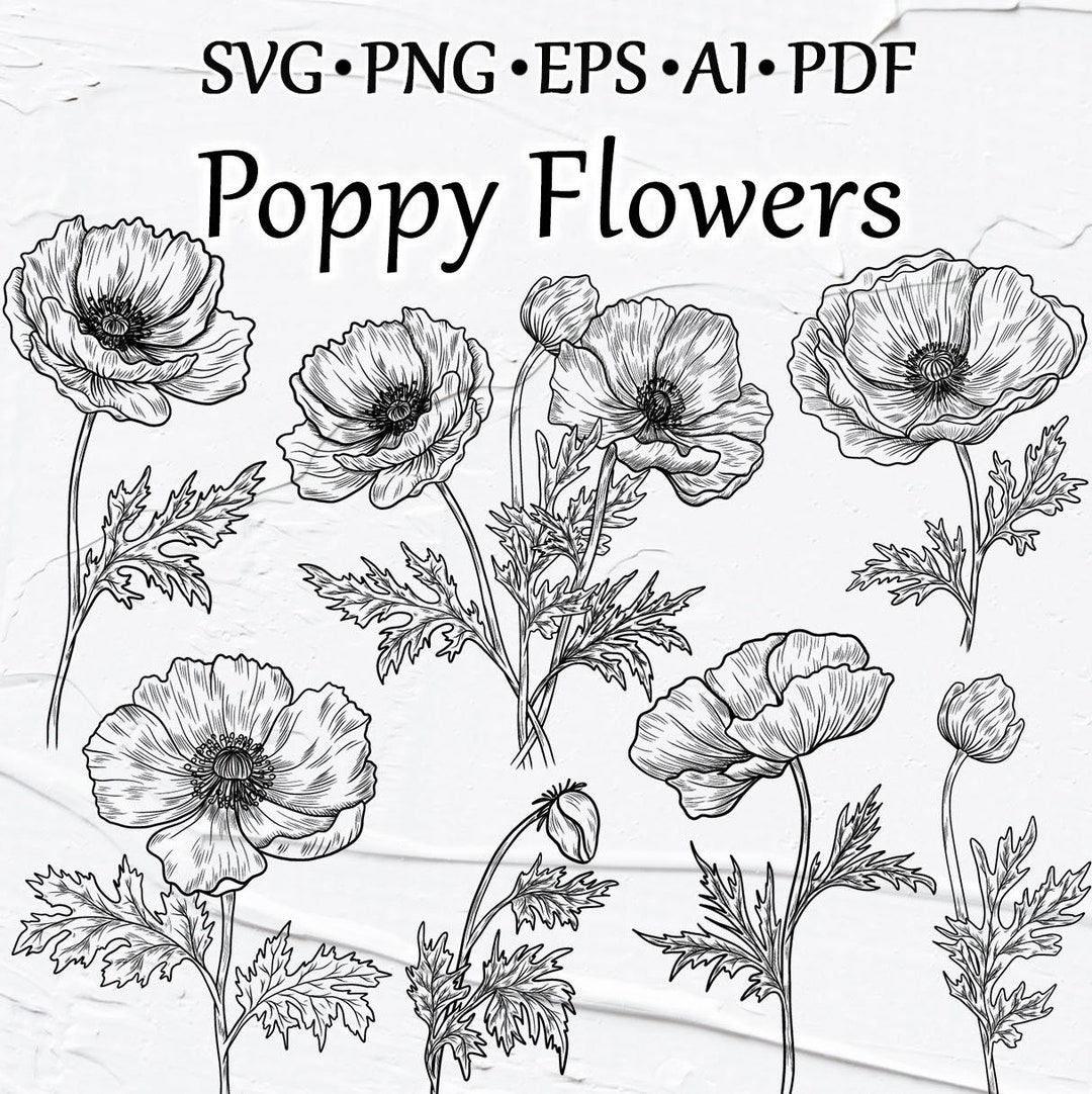 Poppy SVG Clipart, Vector Poppy Clipart, Wild Poppies, Floral Clipart ...