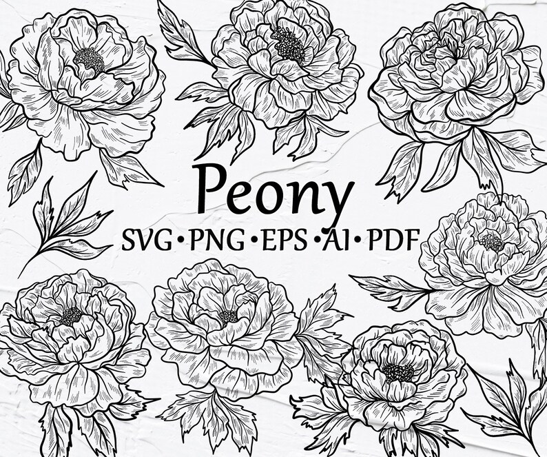 Peony SVG Clipart. Peony Line Art SVG. Spring Outline Vector Clipart ...