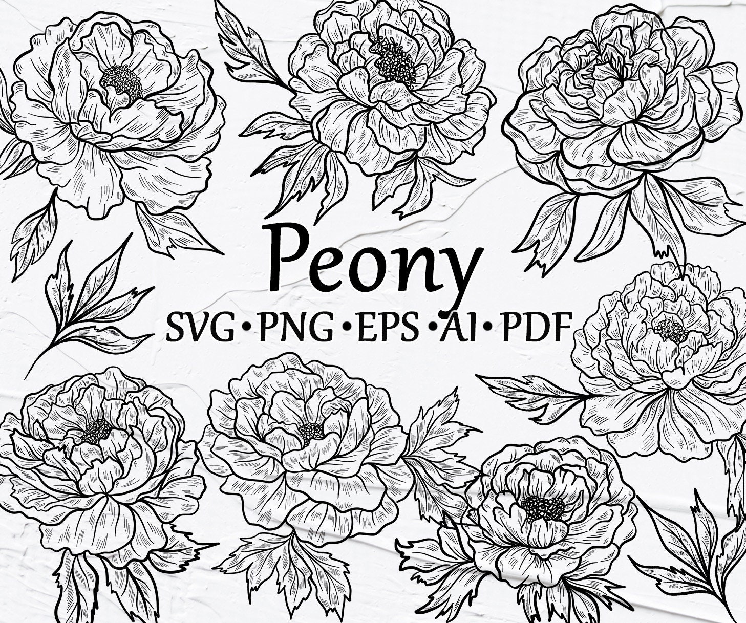 Peony SVG Clipart. Peony Line Art SVG. Spring Outline Vector Clipart ...
