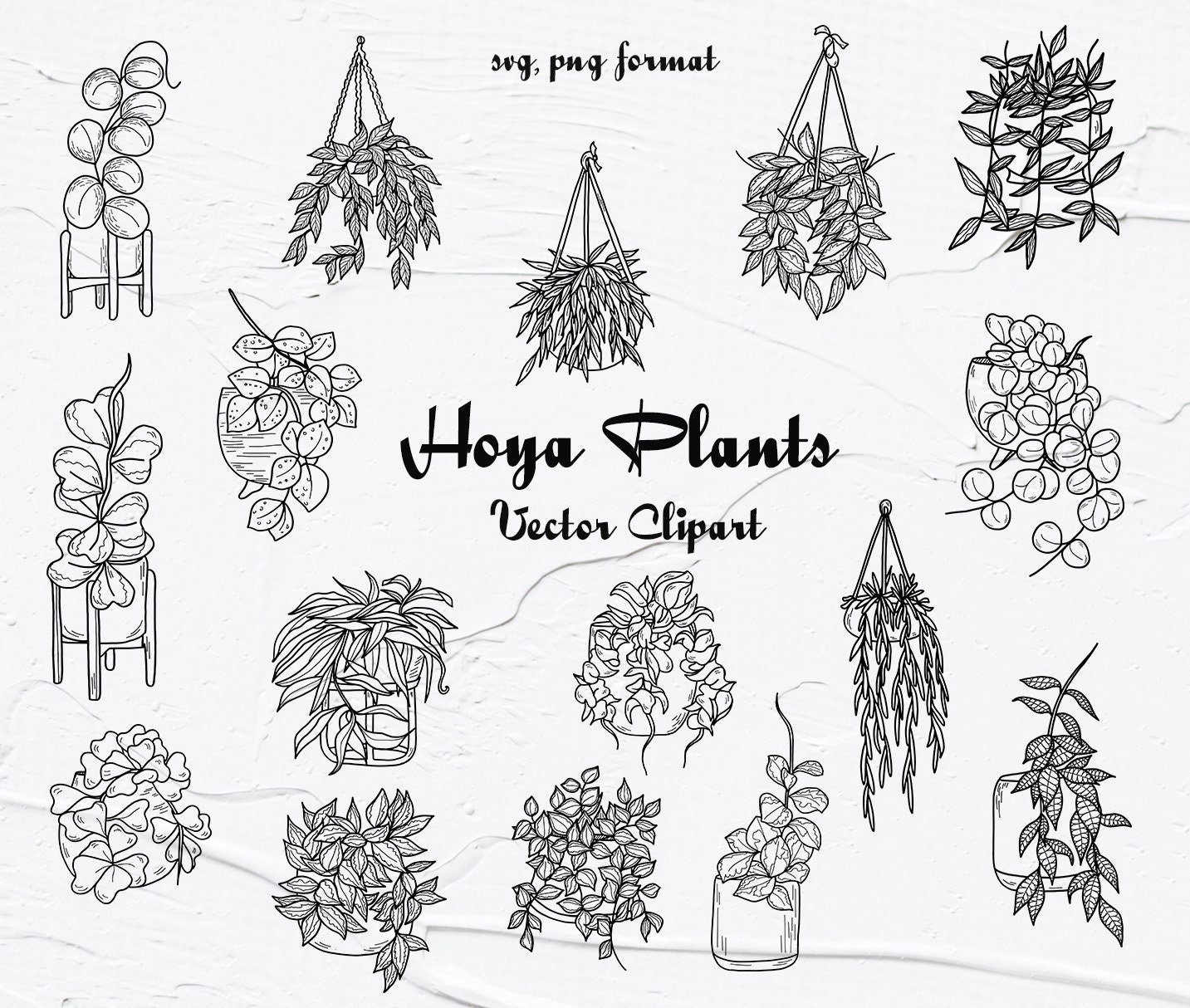 Vector Hoya Plants Clipart. House Plants Vector Clipart. | Etsy