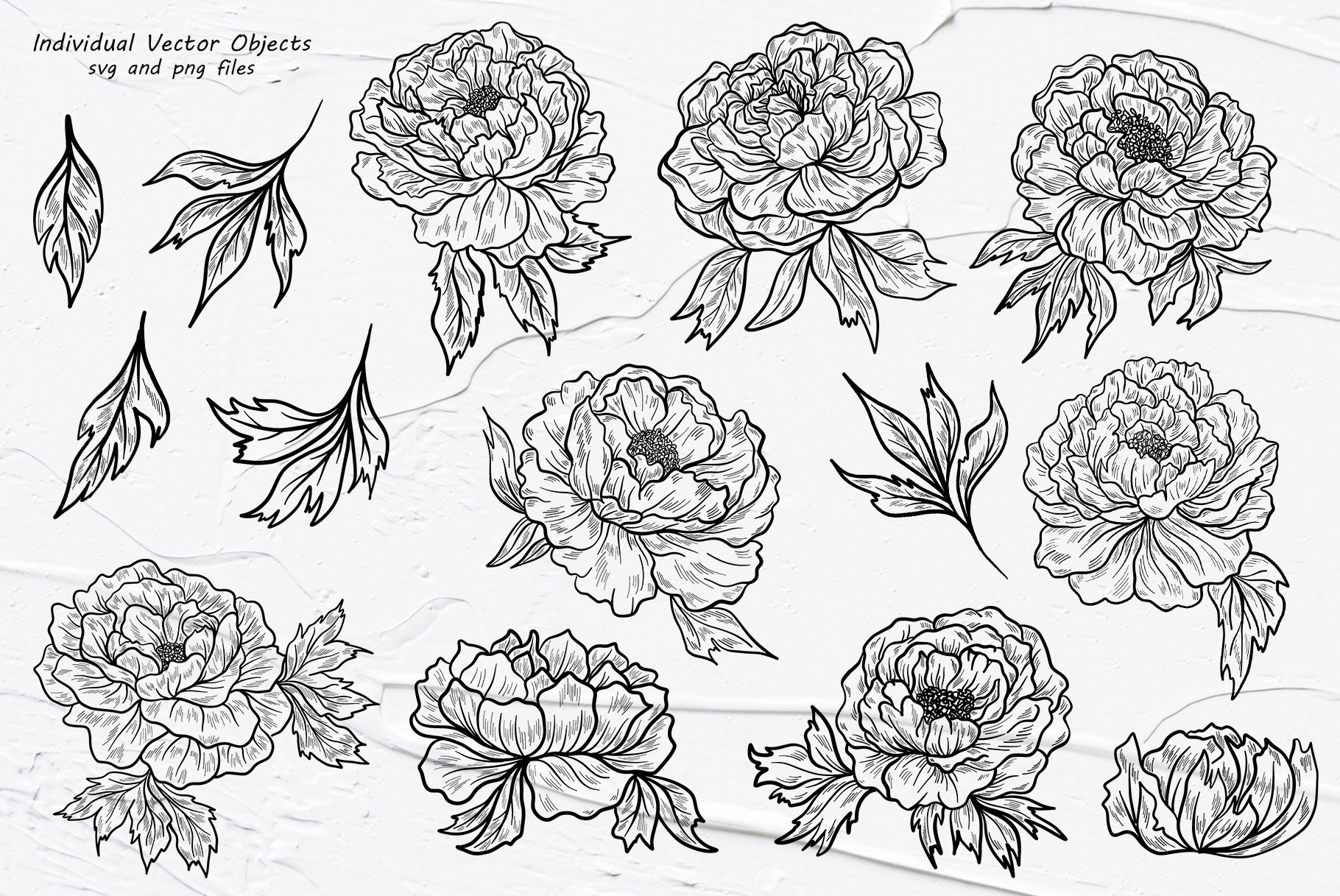 Peony SVG Clipart. Peony Line Art SVG. Spring Outline Vector Clipart ...