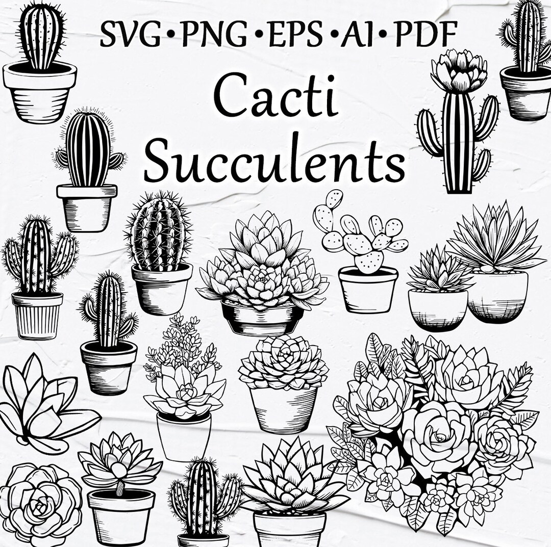 Cacti Svg Clipart. Succulents Svg Clipart. Houseplants Vector Clipart ...