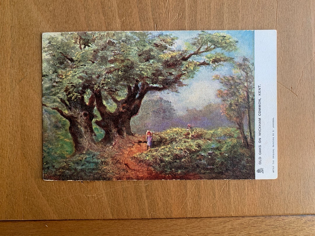 Old Oaks on Wickham Common Antique Postcard. S Johnson. Raphael Tuck ...