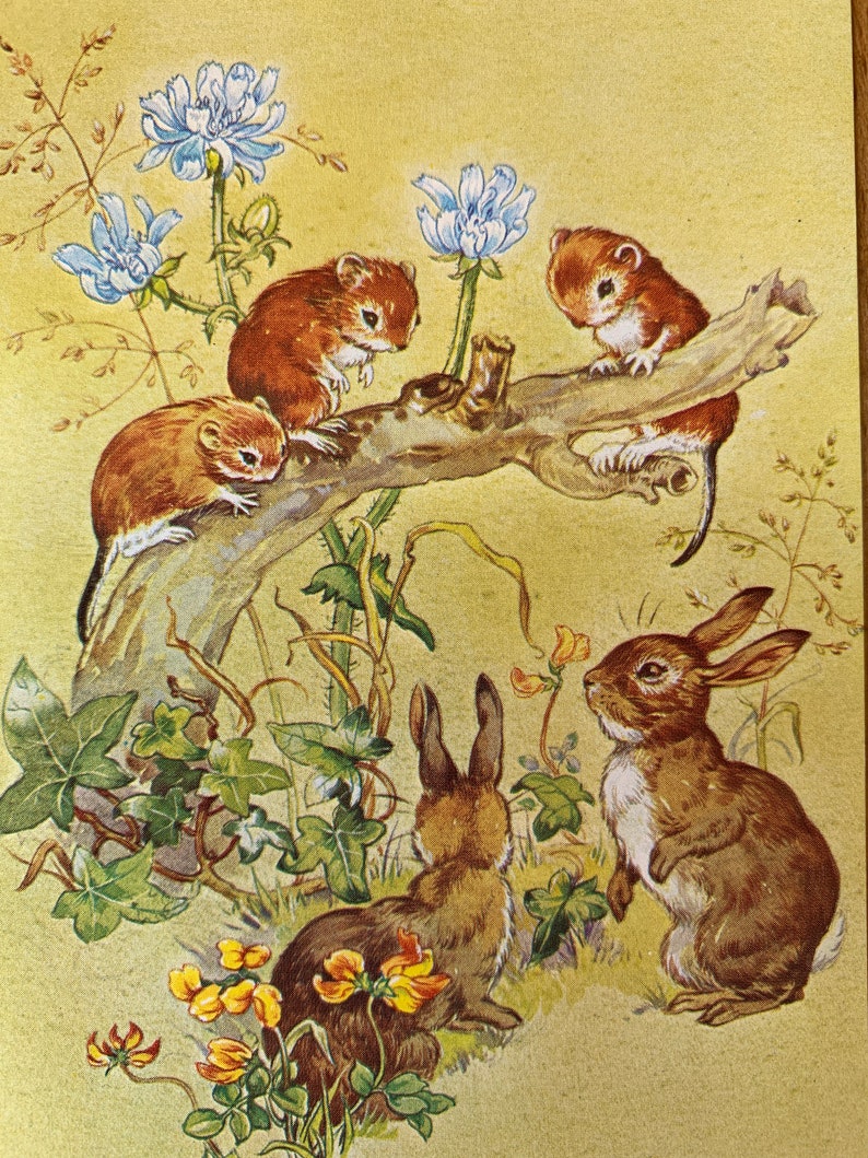 Rabbits, Mice & Cornflowers Vintage Postcard 'the Lost Berry' by Artist ...