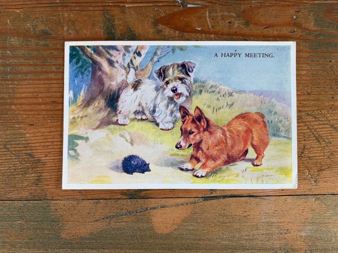 Mabel Gear Vintage Postcard: 'A Happy Meeting'. Corgi, Hedgehog and ...