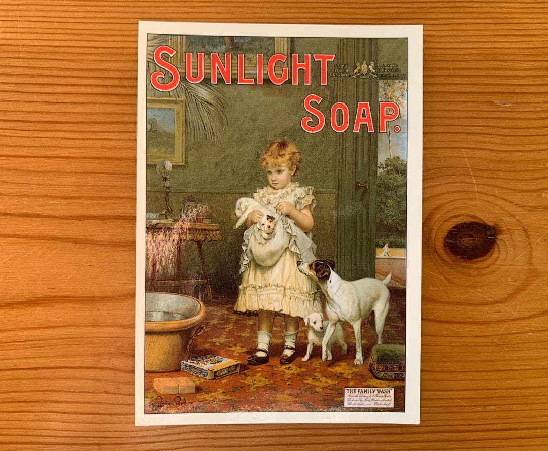 Sunlight Soap Advertising Reproduction Postcard. Jack Russell Puppies ...