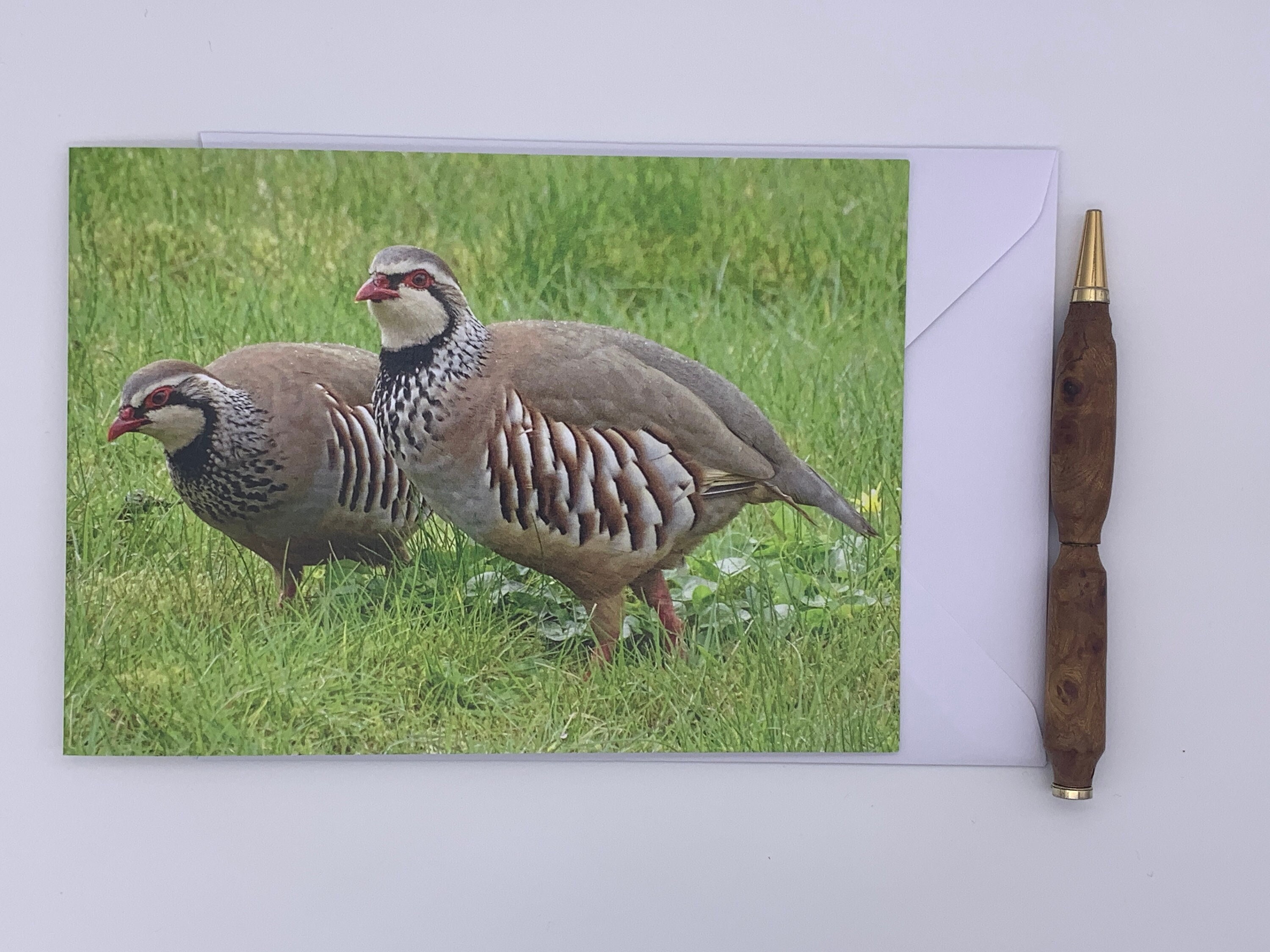 Red Legged Partridge Bird Card - in the Scottish Countryside - Scottish ...