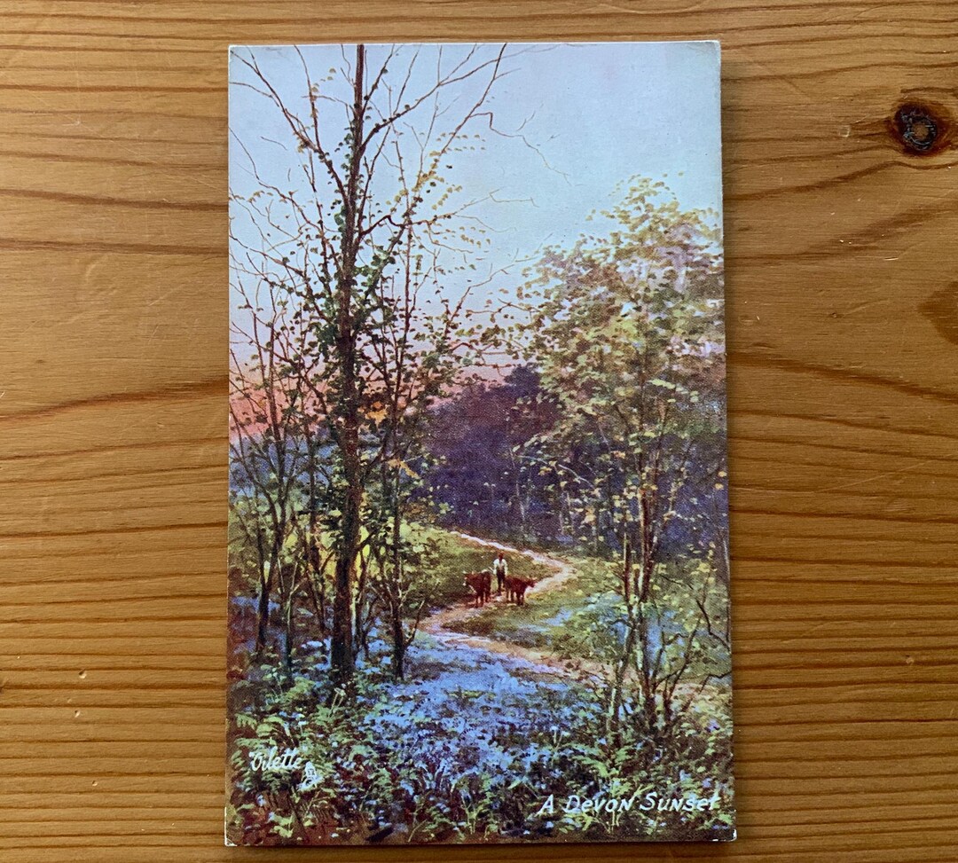 Bluebell Wood, Devon. Devon Antique Postcard. Vintage Bluebell. 'A ...