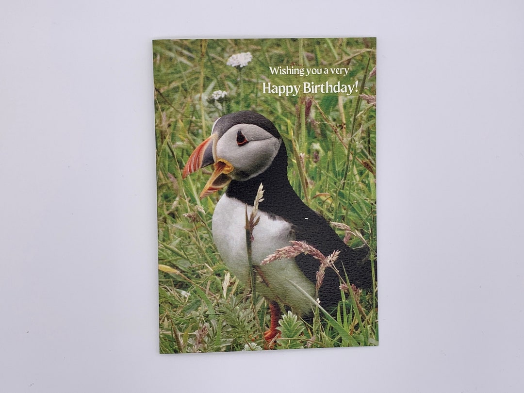Puffin Birthday Card Atlantic Puffin on the Isle of Staffa - Etsy
