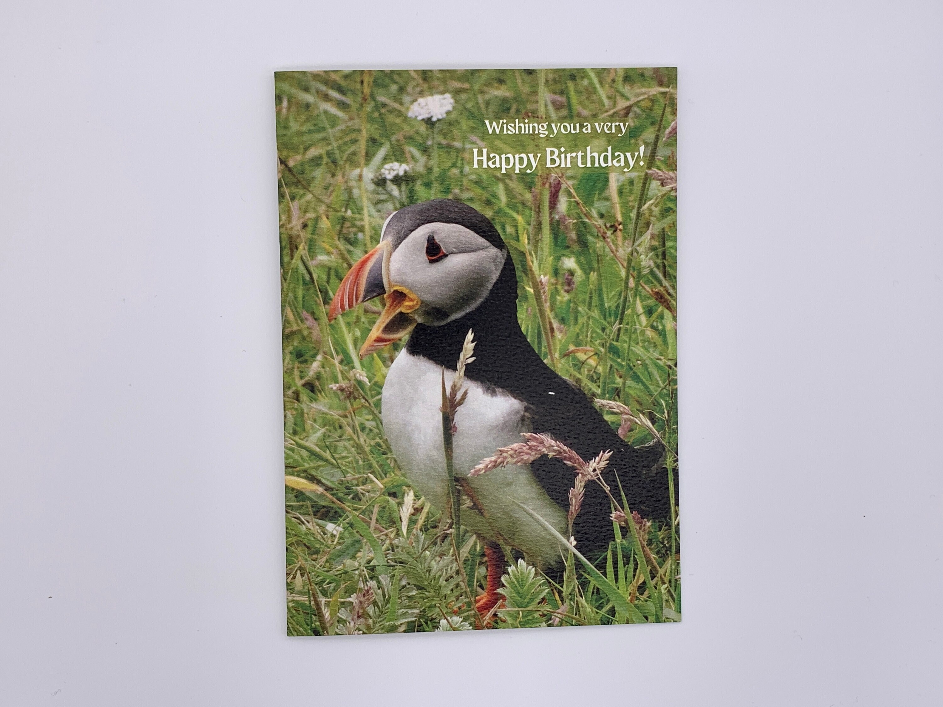 Puffin Birthday Card. Atlantic Puffin on the Isle of Staffa. Scottish ...