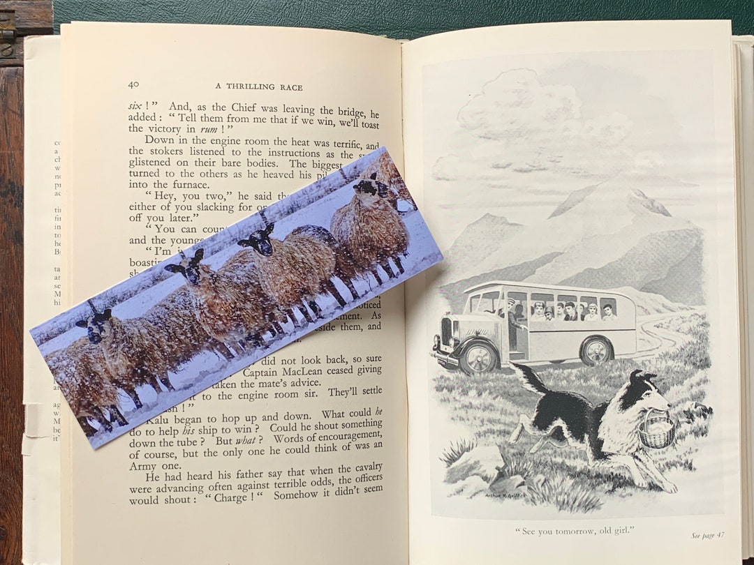 Sheep Bookmark | Snowy Sheep Bookmark | Double-sided Scottish Bookmark ...
