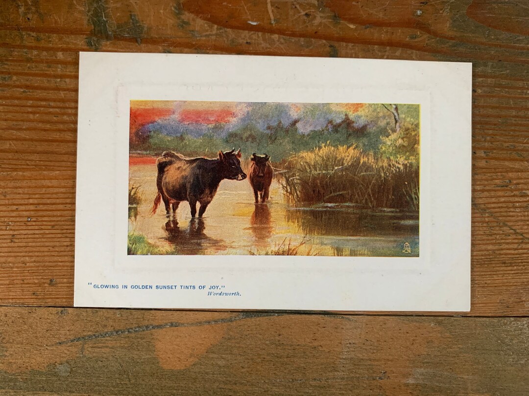 Harry Payne Antique Cow Postcard, by Mead & Stream, Raphael Tuck (PC134 ...