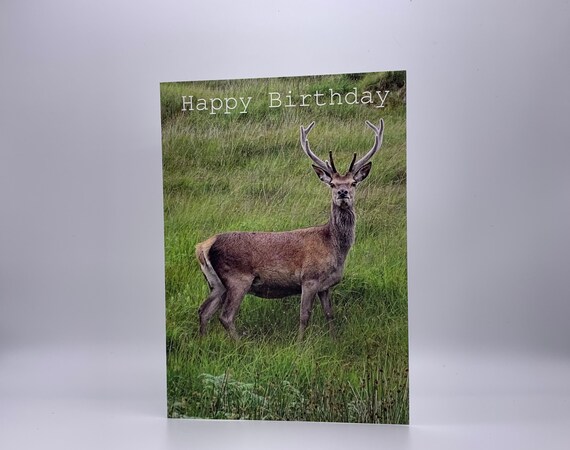 Red Stag Birthday Card Scotland Birthday Card Monarch of - Etsy