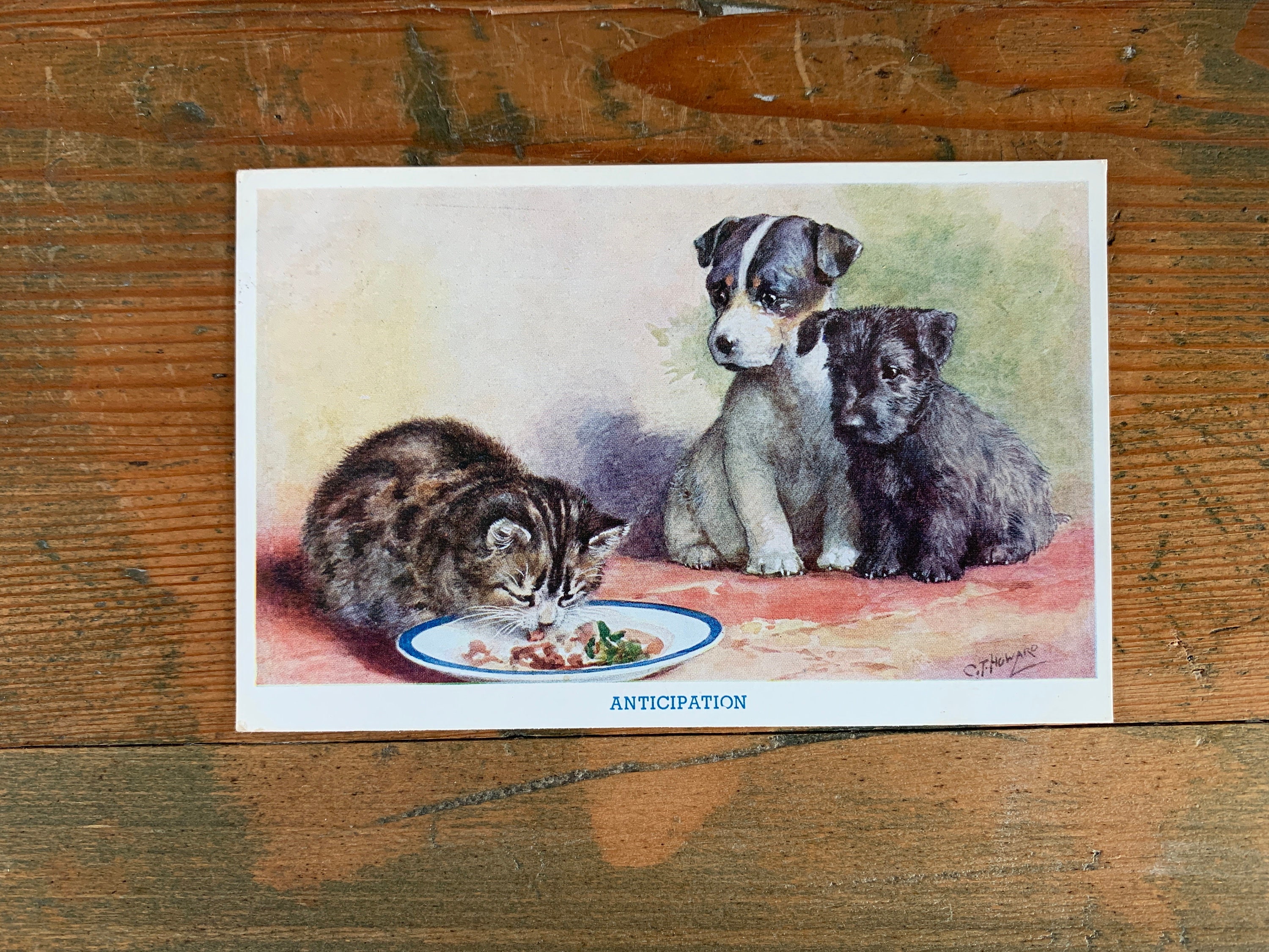 Mabel Gear Vintage Postcard: 'anticipation'. Black and - Etsy