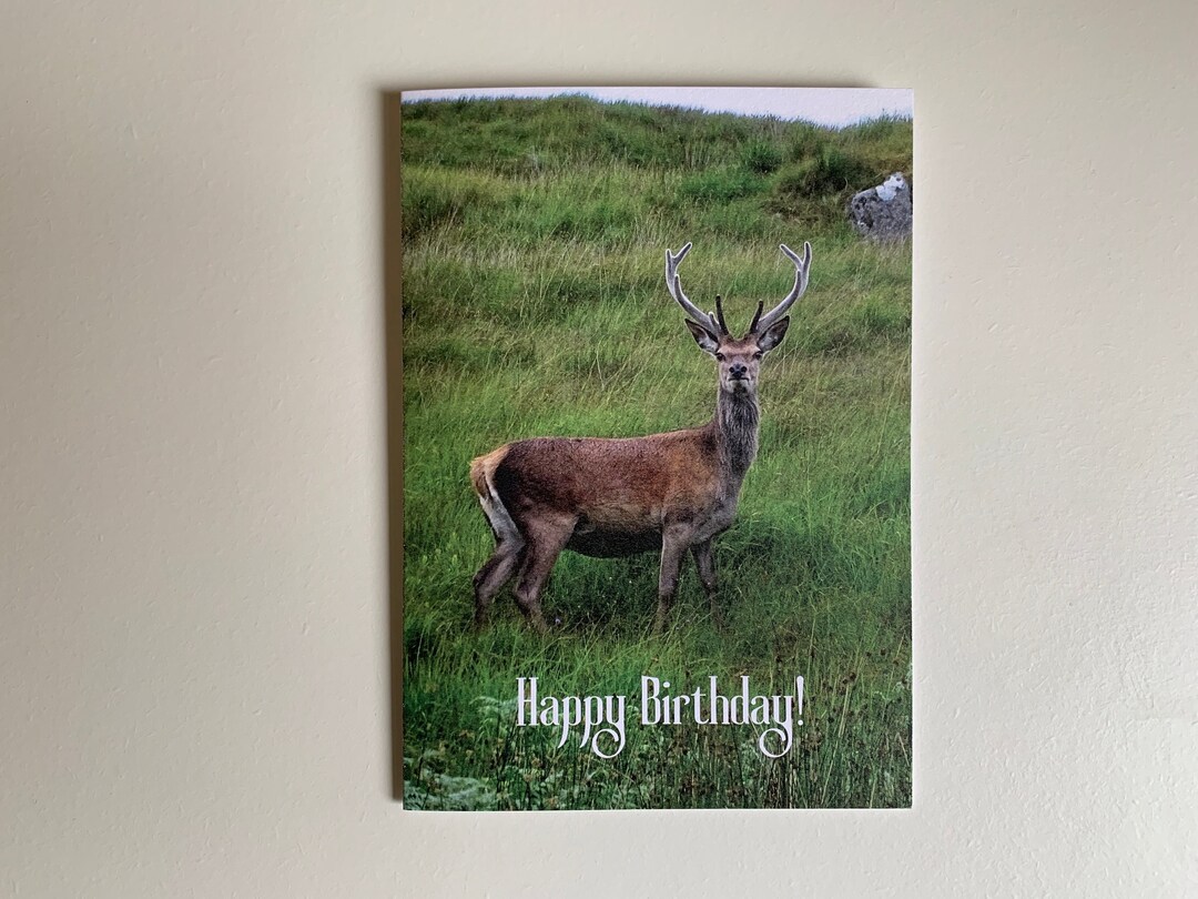 Stag Birthday Card. Scotland Birthday Card. Monarch of the Glen ...