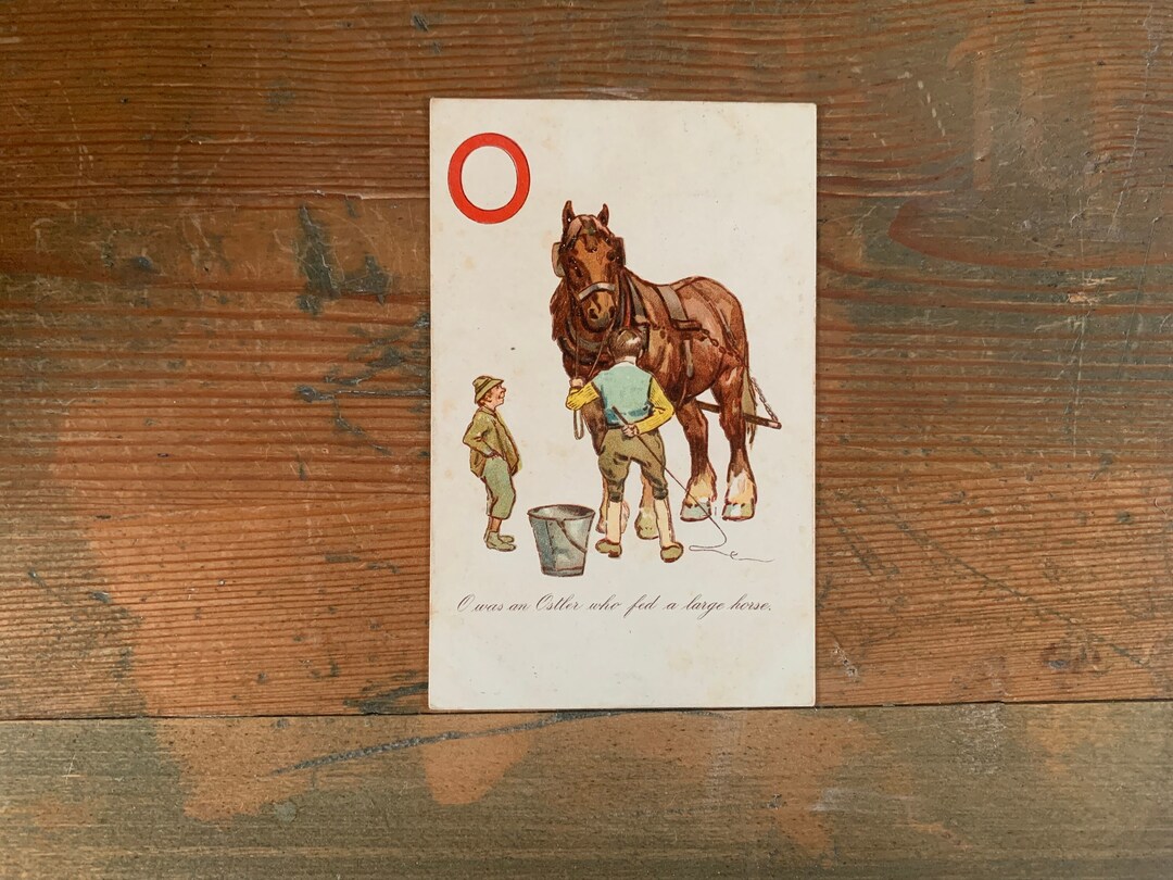 Antique Letter O Postcard, Clydesdale Horse, Alphabet Series C1900 ...