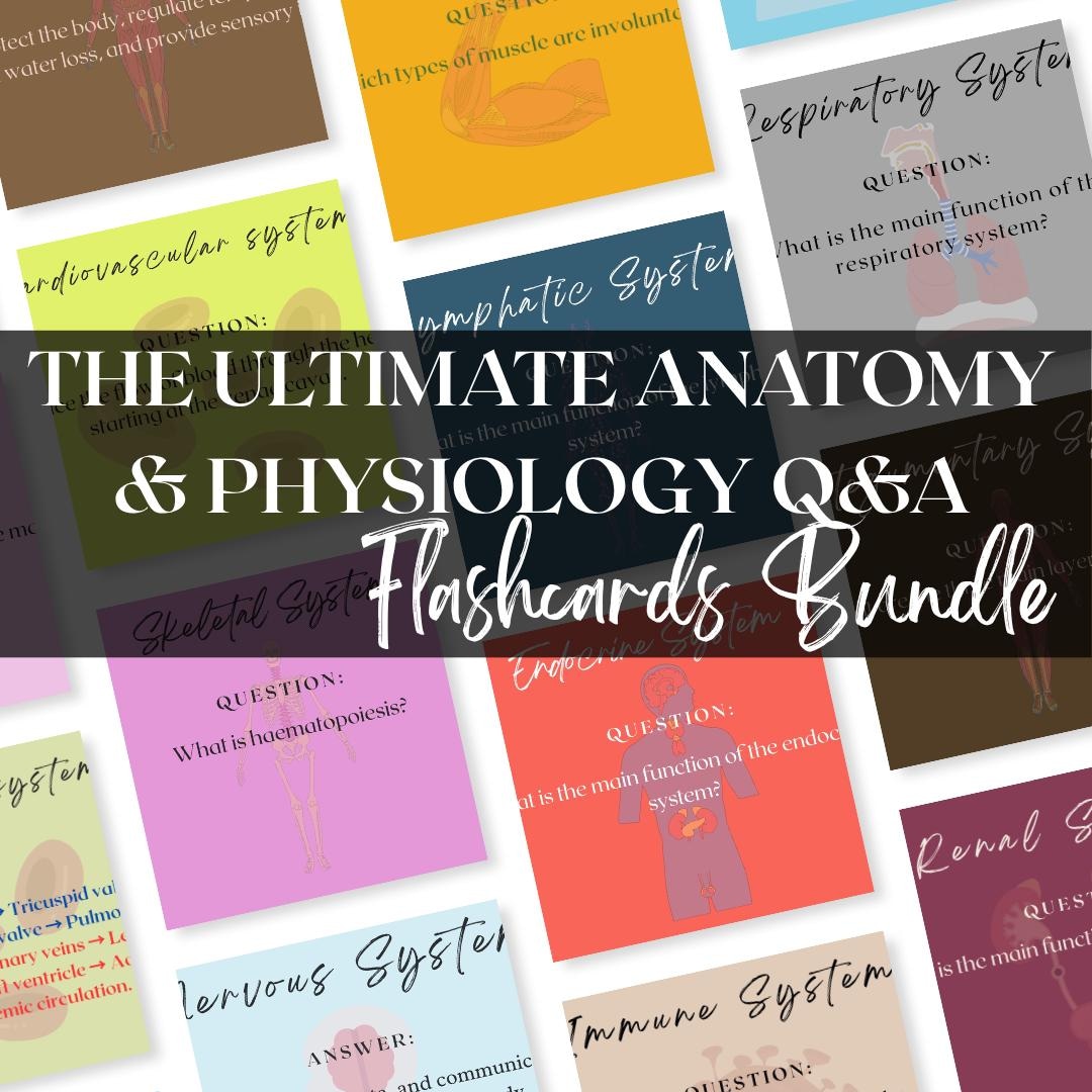 Anatomy & Physiology Flashcards: Nursing School Study Aid (digital ...