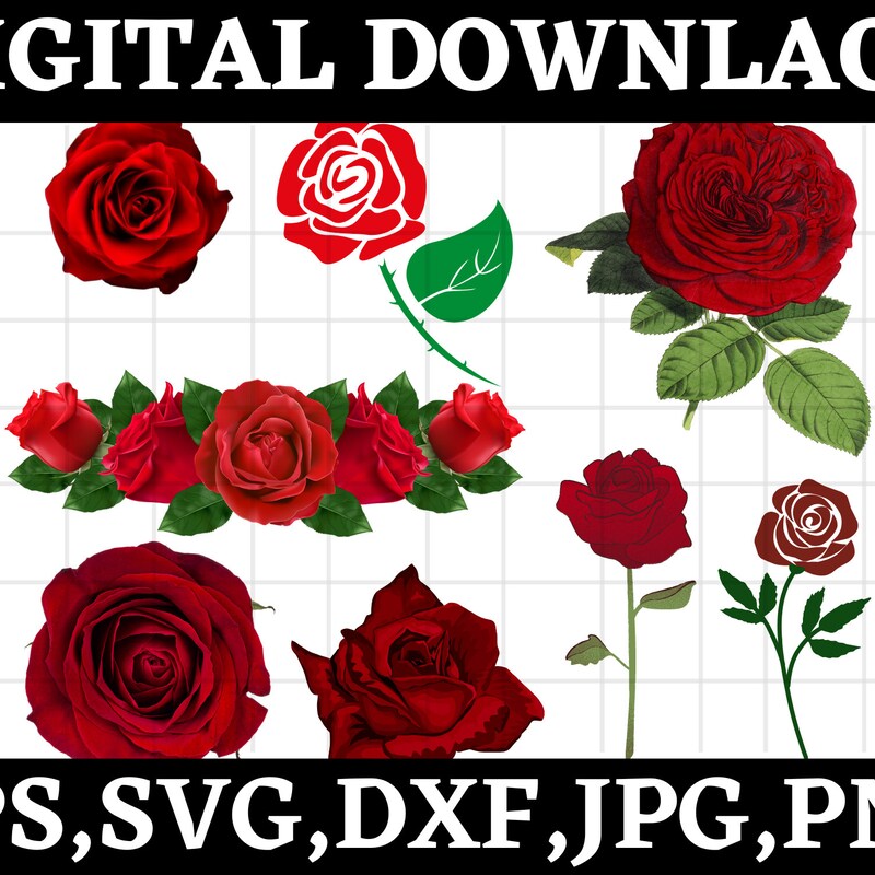 Roses Svg - Etsy