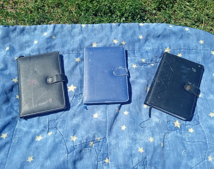 Three Handwritten Diaries Original Manuscript Same Author 2010, 2013 ...