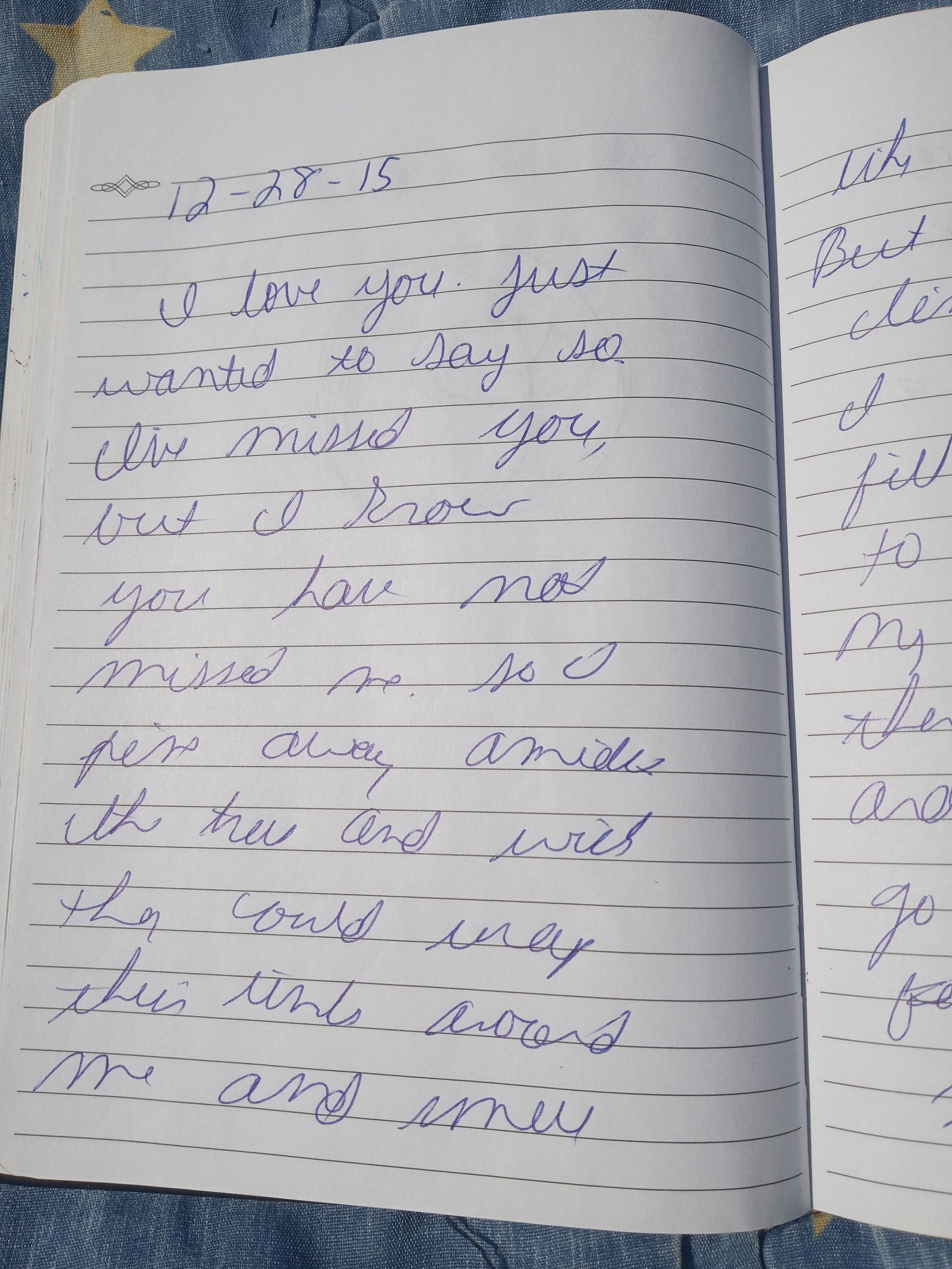 Three Handwritten Diaries Original Manuscript Same Author 2010, 2013 ...