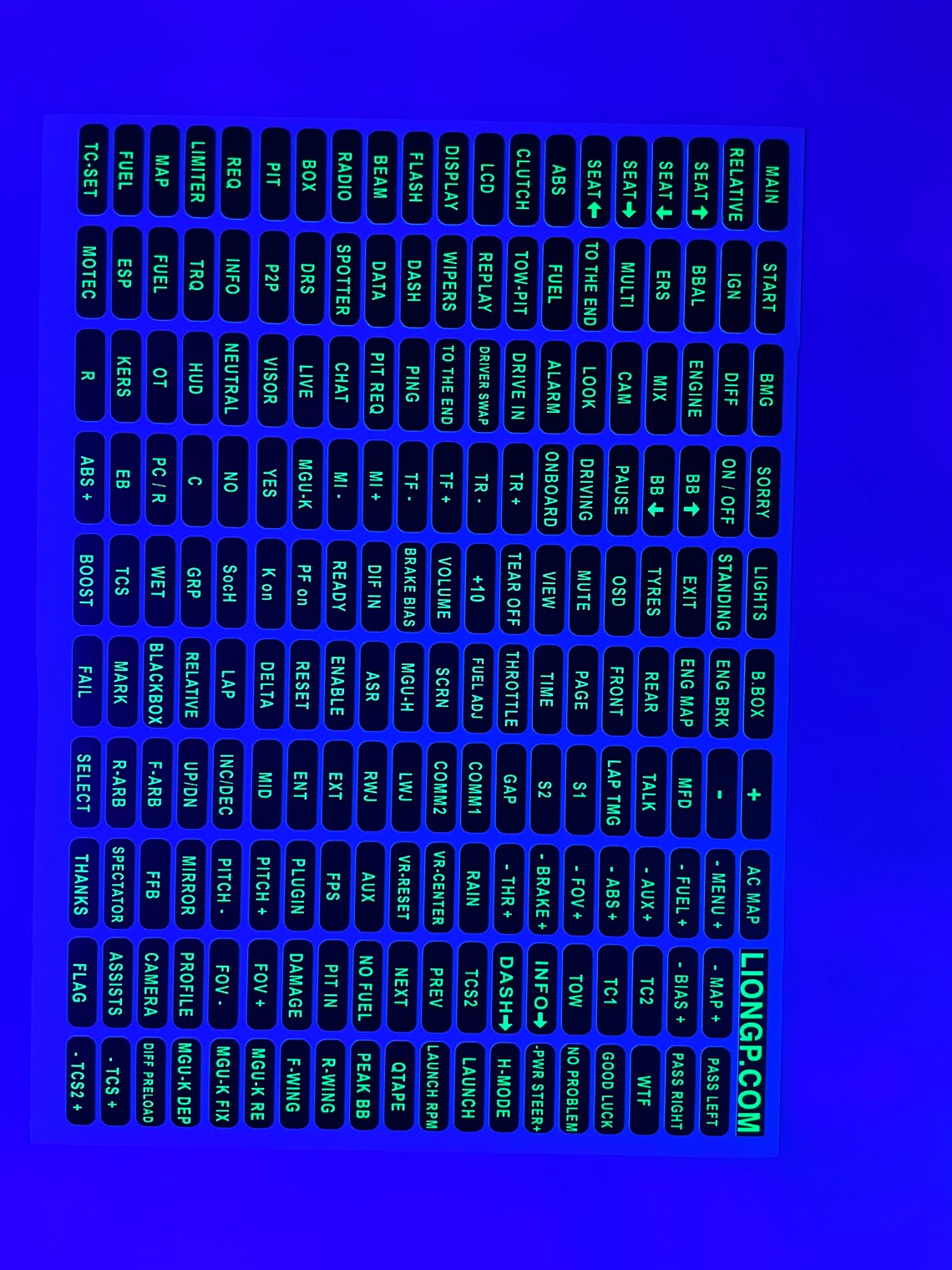 Liongp Sim Racing Stickers for Button Box Neon UV - Etsy