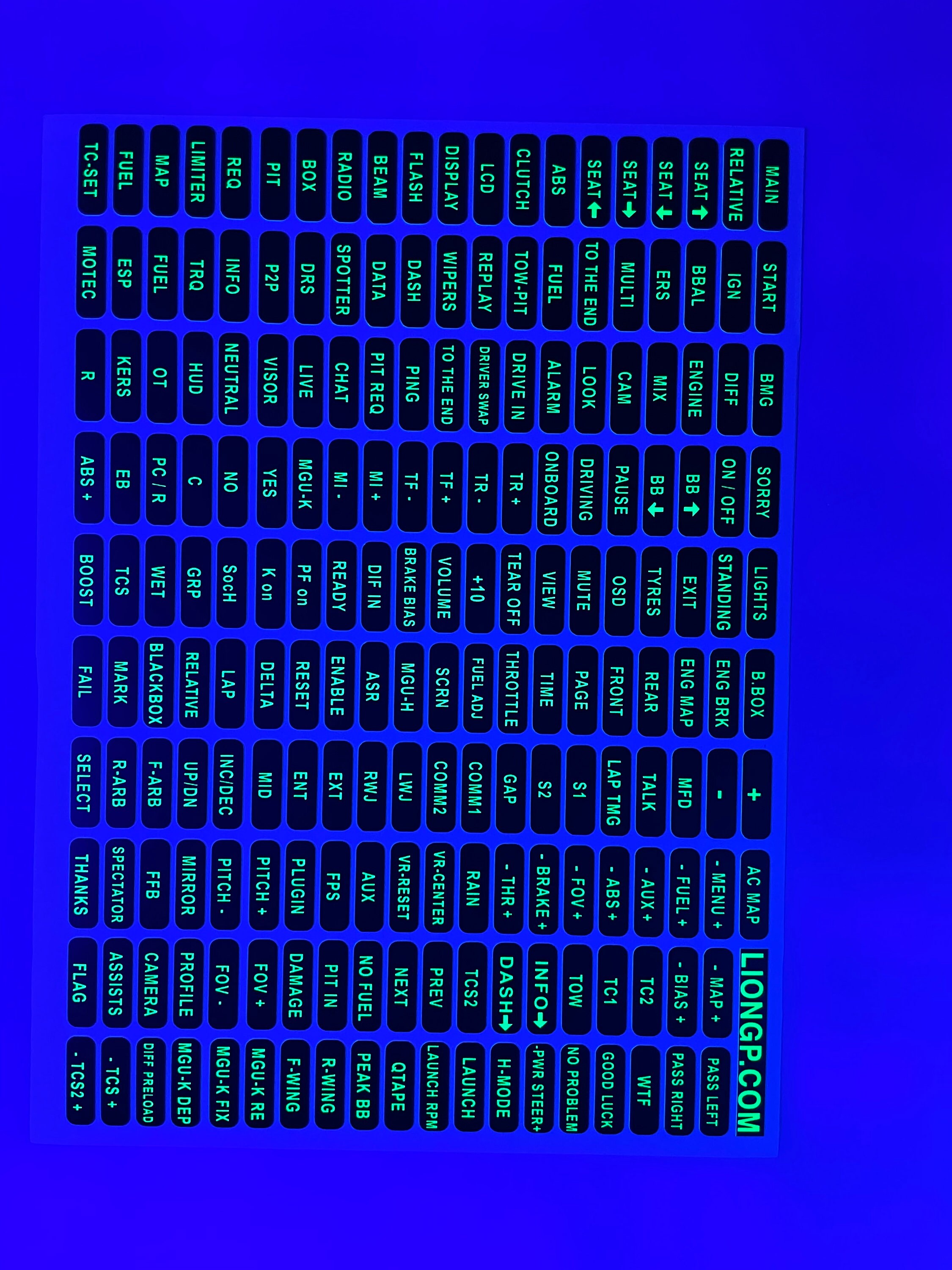 Liongp Sim Racing Stickers for Button Box Neon UV - Etsy