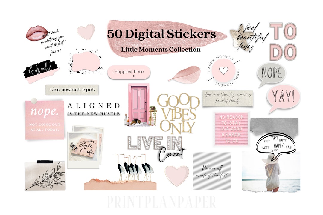 Digital Stickers Goodnotes Planner Magazine Style Collage Stickers Pink ...