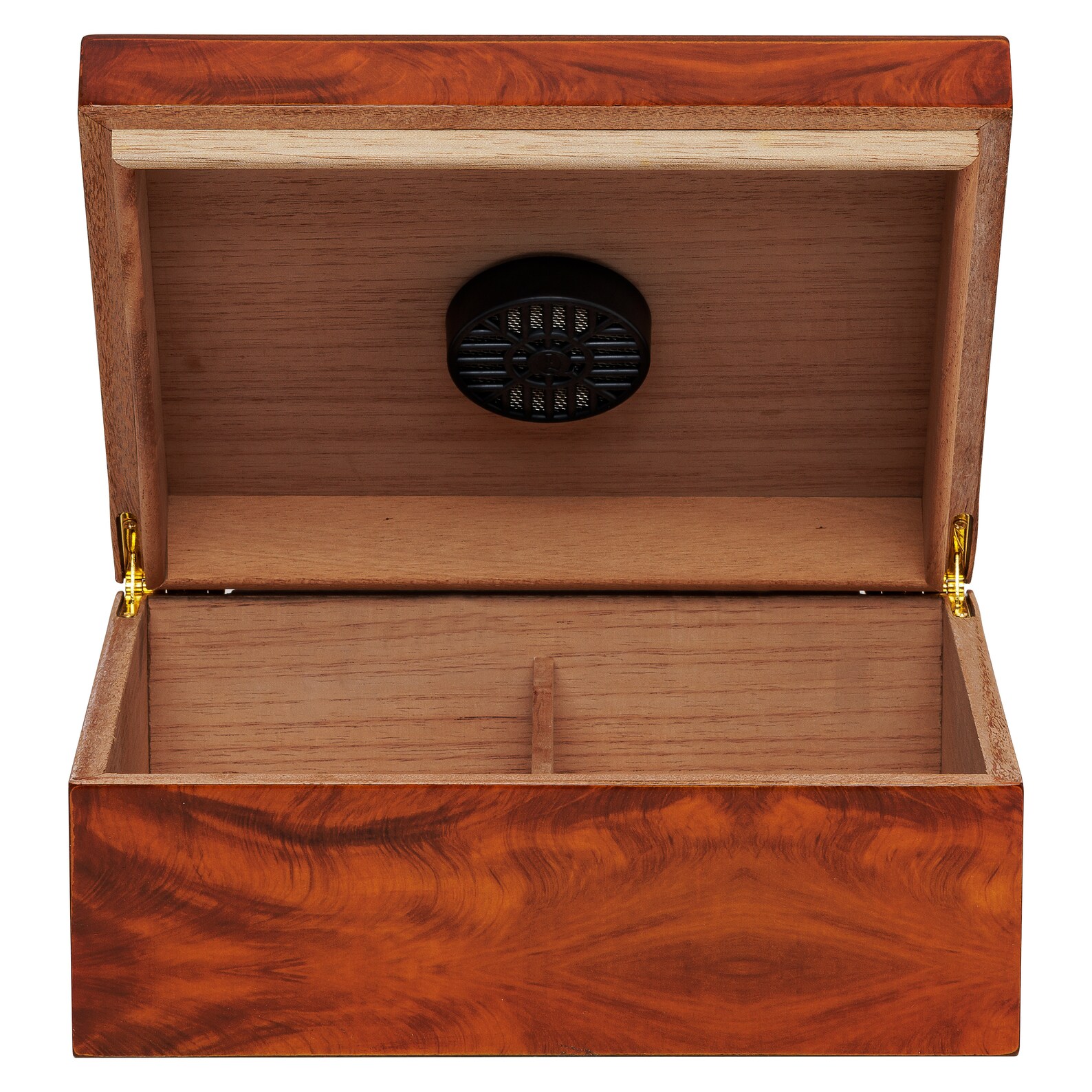 40 Capacity Burl Cedar Cigar Humidor W/ Humidifier and Hygrometer - Etsy